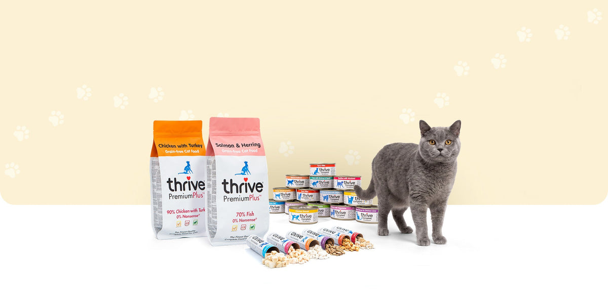 Adult Cat Food – Thrive