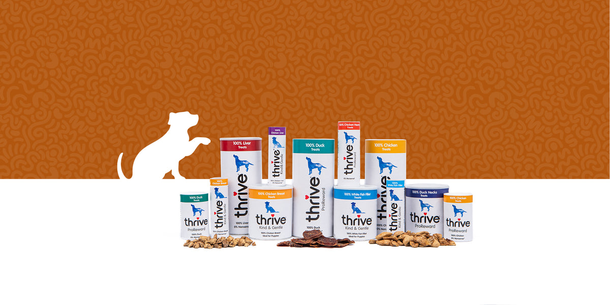 Dog Treats – Thrive